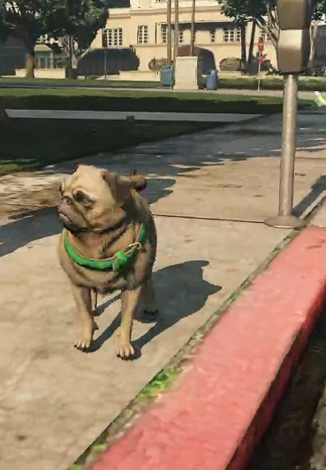 Fish | ONX Wiki | Fandom