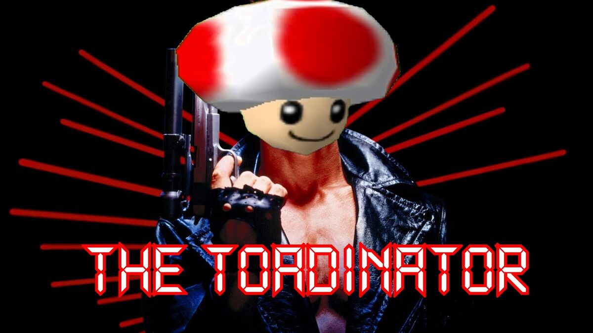 SM64 Bloopers: The Toadinator | OnyxKing Wiki | Fandom