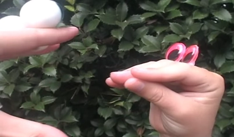 Unnamed Puppets | Oobi Fanon Wiki | Fandom