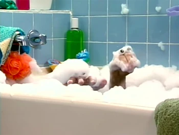 Bubble Bath!/Transcript | Oobi Wiki | Fandom