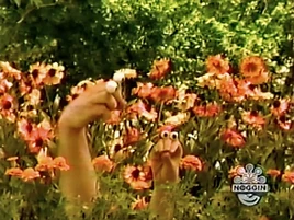 Nature!/Transcript | Oobi Wiki | Fandom