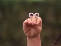 Petting Zoo! | Oobi Wiki | Fandom