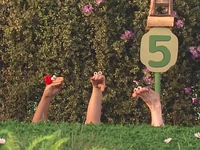 Frieda the Foot | Oobi Wiki | Fandom