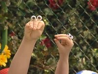 Uma Swing! | Oobi Wiki | Fandom