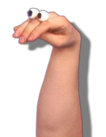 Oobi Animals | Oobi Wiki | Fandom