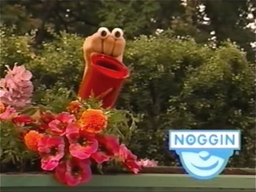 Noggin Oobi