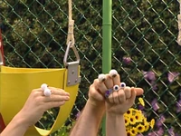 Uma Swing! | Oobi Wiki | Fandom