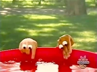 Water Games! | Oobi Wiki | Fandom