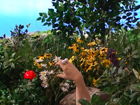 Baby! | Oobi Wiki | Fandom