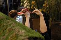 Frieda the Foot | Oobi Wiki | Fandom