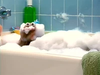 Bubble Bath! | Oobi Wiki | Fandom
