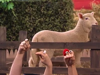 Petting Zoo! | Oobi Wiki | Fandom
