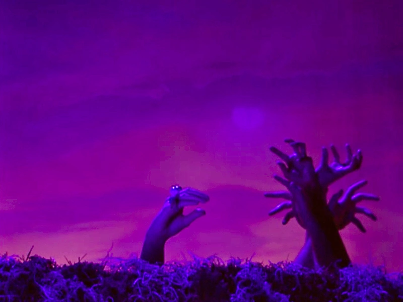 Hand tree | Oobi Wiki | Fandom