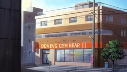 Boxing Gym Bear | Ōkami-san and her Seven Companions Wiki | Fandom