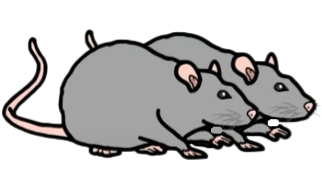 The Mice | Ooops! Noah Is Gone... Wiki | Fandom