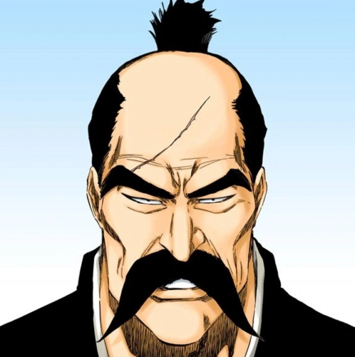 Hoku | One Piece: Eclipse Wiki | Fandom