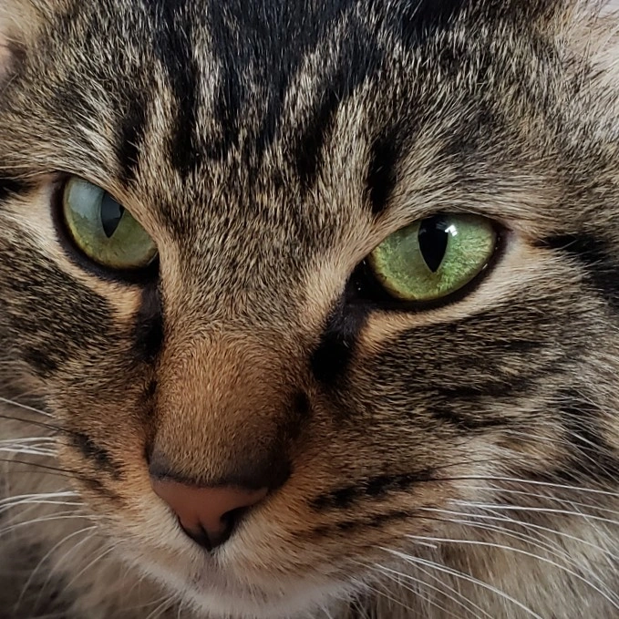 Key's studio | Open Source Objects Wiki | Fandom