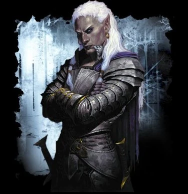 The Drow Of Underdark