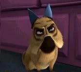 McSquizzy | Open Season Wiki | Fandom