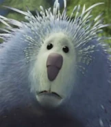 Buddy | Open Season Wiki | Fandom