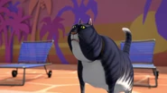 Stanley | Open Season Wiki | Fandom