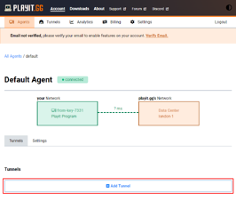 Playit.GG | Open World Wiki | Fandom