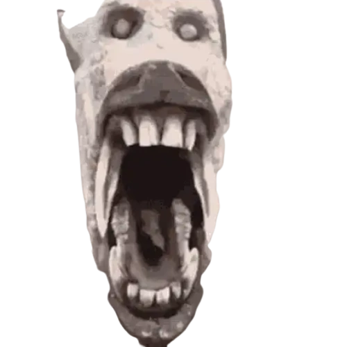 Donkey Fish (V1) (SNPC) | OPERAINCEPTION's GMOD Addons Wiki | Fandom