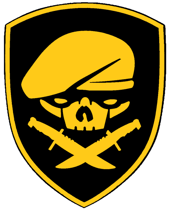 75th Rangers Regiment | Operation Kingship Wiki | Fandom
