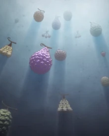 Devil Fruit | One Piece: Endless Seas Wiki | Fandom