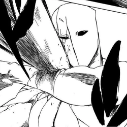 Baritsu Baritsu no Mi | One Piece Fanon Wiki | Fandom