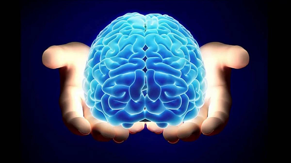 Suitchi Suitchi no mi | One Piece Fanon Wiki | Fandom