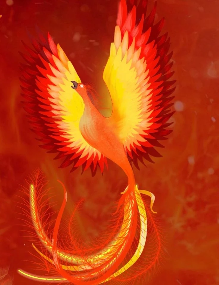 Suzaku Bird