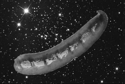 Sausage Moon | Opia Wiki | Fandom