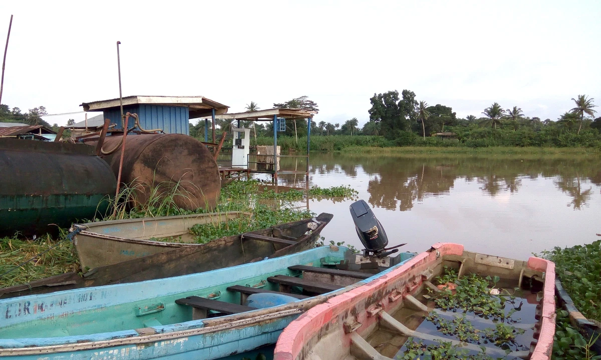 Niger Delta swamp forests (AT0122) | Opiliones Wiki | Fandom