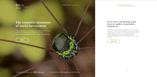 WCO-Lite | Opiliones Wiki | Fandom