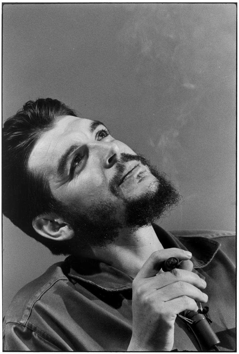 George Freedom | Power Wiki | Fandom