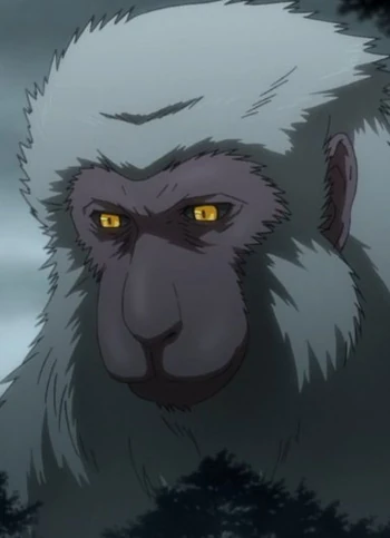 Yuki | One Piece Role-Play Wiki | Fandom