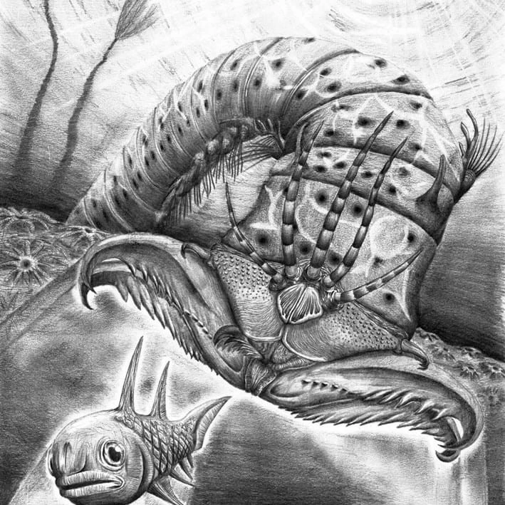 Mushi Mushi no Mi, Model: Bobbit Worm | One Piece Role-Play Wiki | Fandom