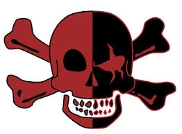 King Pin Pirates | One Piece Role-Play Wiki | Fandom