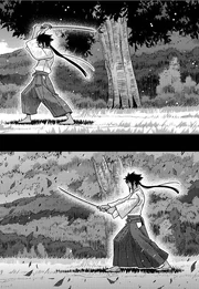 Tenka Goken | One Piece Role-Play Wiki | Fandom