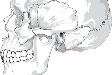 Chaz Ashley Character Profile Wikia Fandom Frozen 2 Wikipedia