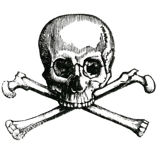 Giant Pirates | One Piece Role-Play Wiki | Fandom