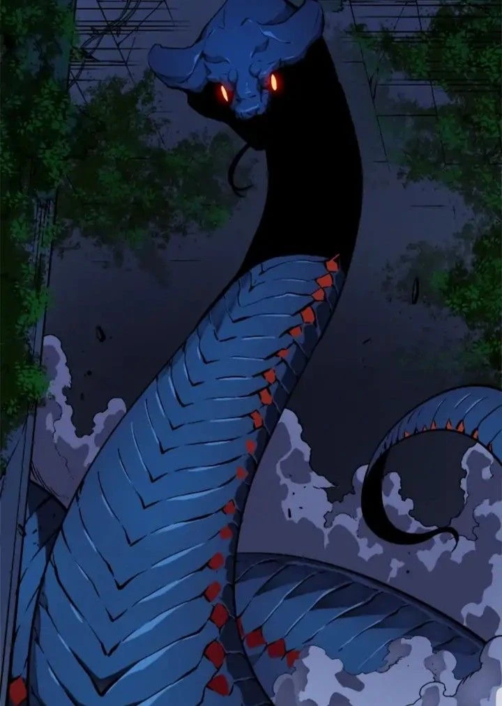 Akurra | One Piece Role-Play Wiki | Fandom