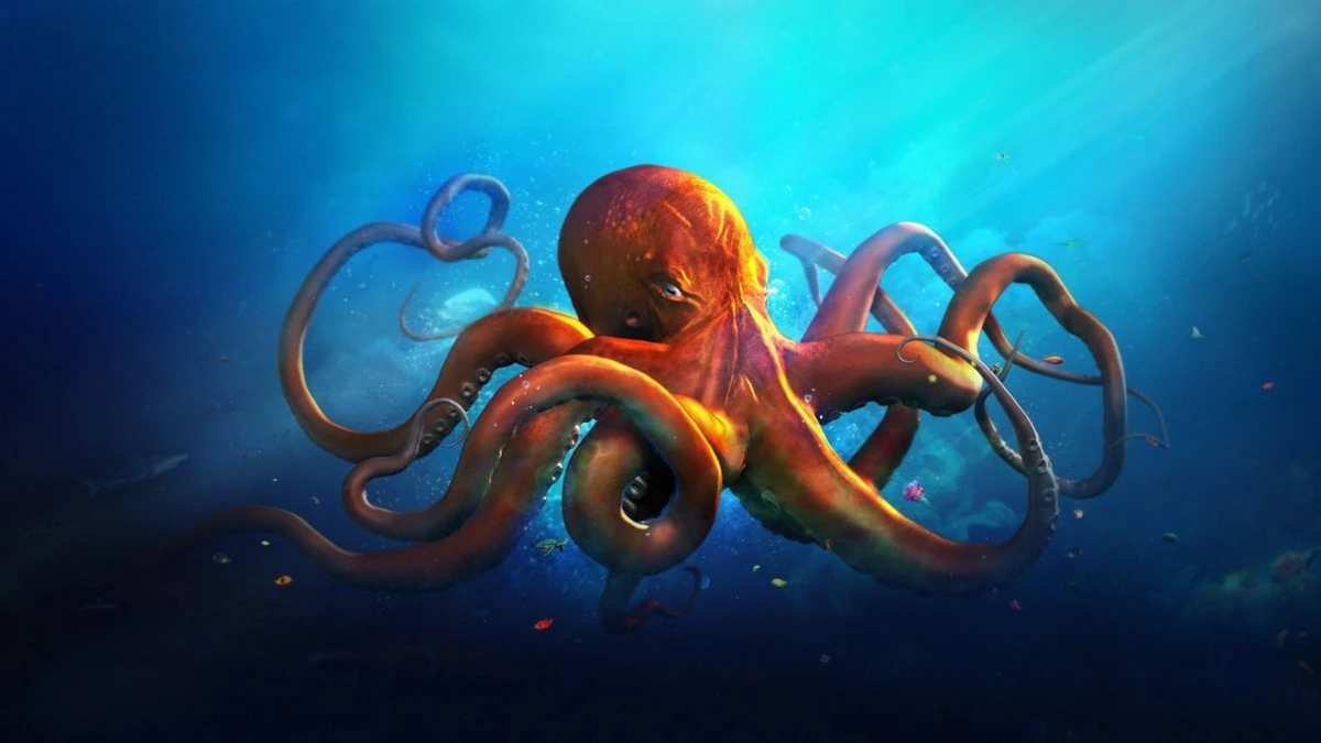 Tako Tako no Mi, Model: Giant Pacific Octopus | One Piece Role-Play ...