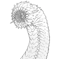 Baka Baka no Mi/Monsters | One Piece Role-Play Wiki | Fandom