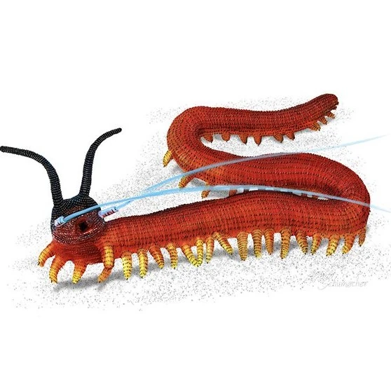 Mushi Mushi no Mi, Model: Velvet Worm | One Piece Role-Play Wiki | Fandom