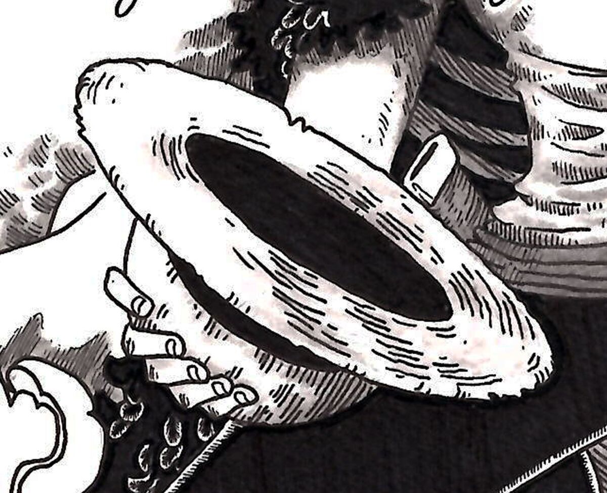 Straw Hat | One Piece Role-Play Wiki | Fandom