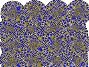 Akiyoshi Kitaoka | Optical Illusions Wiki | Fandom