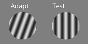 Visual Tilt Effects | Optical Illusions Wiki | Fandom