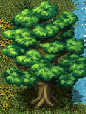 Elder Tree | Orake Wikia | Fandom